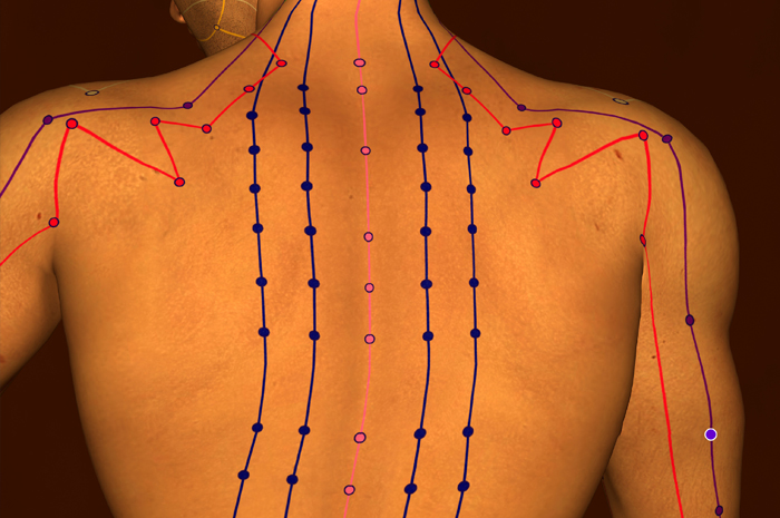 Upper Body Meridian Chart The History, Mechanism, And Clinical