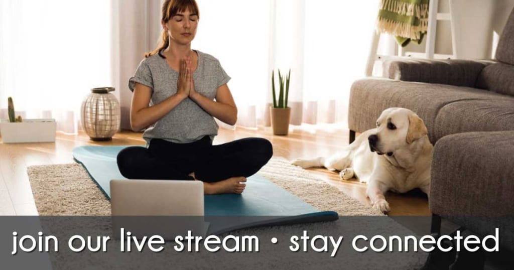 Three Part Breath (Dirga Pranayama) - The Kaplan Center